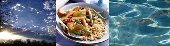 Characteristics of Living Things